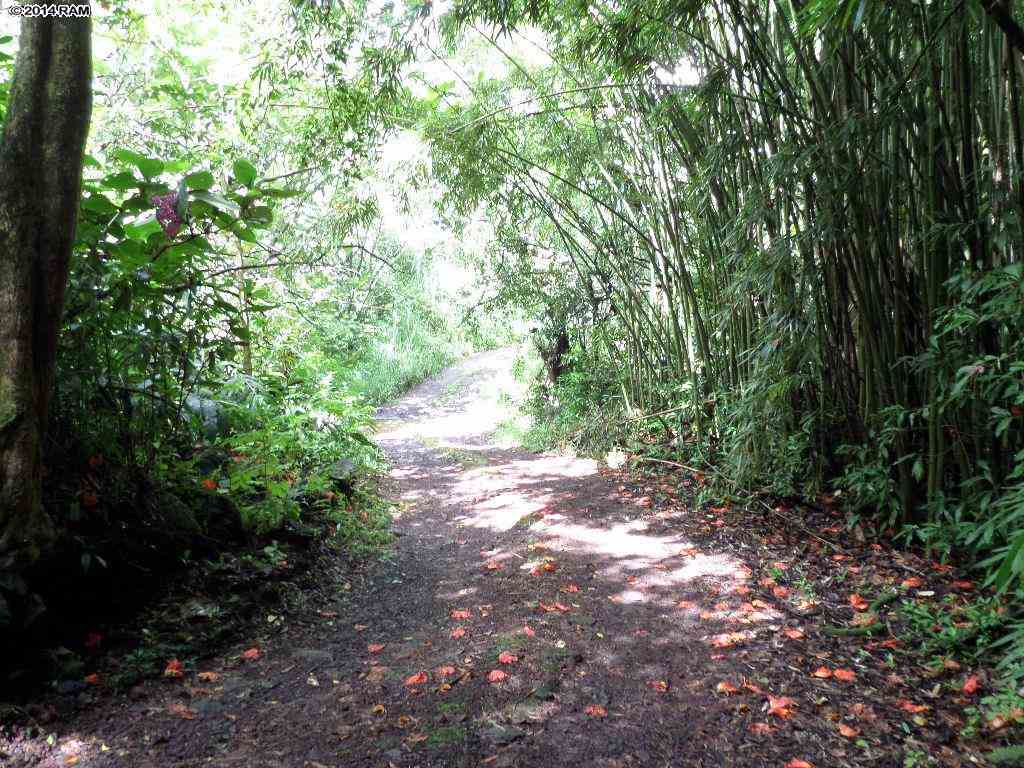 Maui Homes and Real Estate - Bob Cella