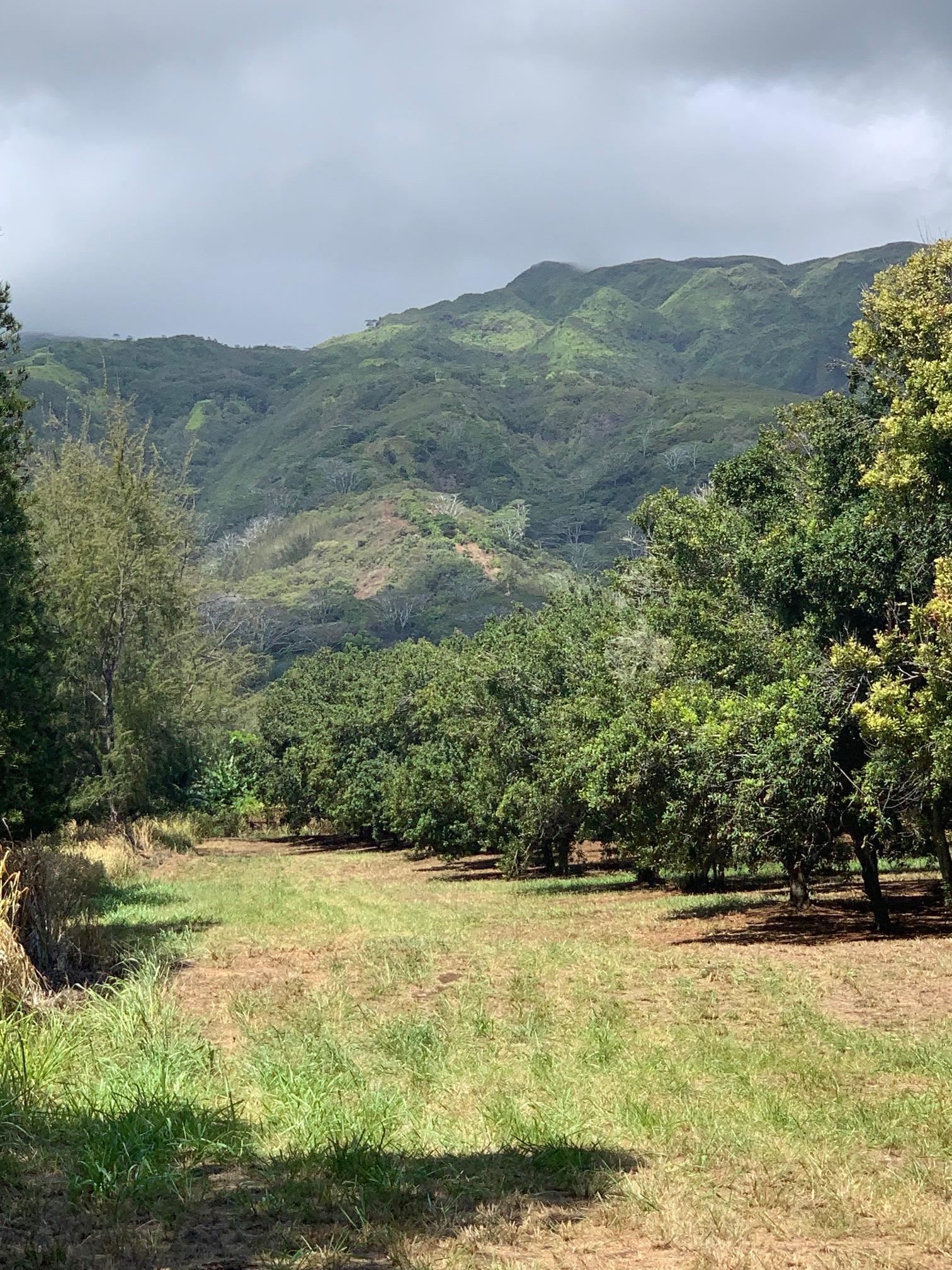 LanaiHomes For Sale - Maui Hawaii Real Estate